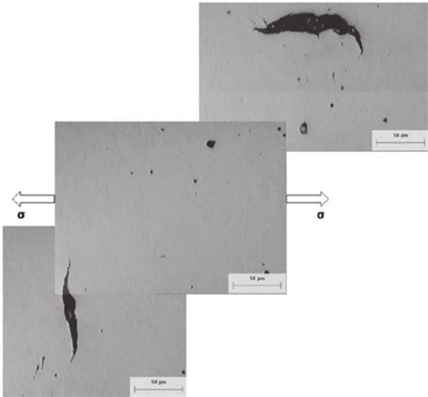 Scanning Electron Microscopy Images Showing Parallel And Perpendicular Download Scientific