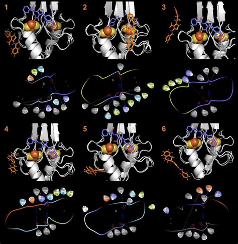The Ligandprotein Interactions In Ii At 310 K The Crystal Binding
