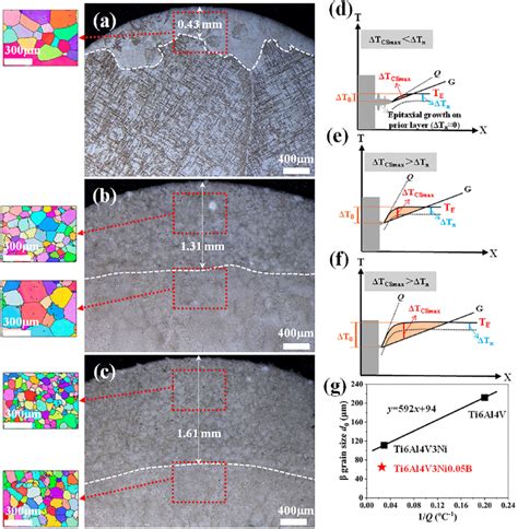 The β Grains At The Top Of Ti6al4vxniyb And The Initial Solidification Download Scientific