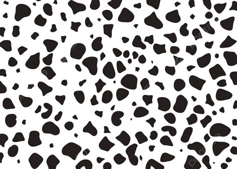 얼룩말 패턴 모자이크 색상 줄무늬 배경 흑백 얼룩말 무늬 얼룩말 무늬 배경 일러스트 및 사진 무료 다운로드 Pngtree