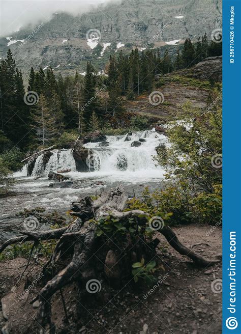 Redrock Falls Waterfall In Glacier National Park Along The Swiftcurrent