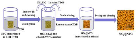 Schematic Diagram Of The Sio2 Layer Fabrication Download Scientific Diagram