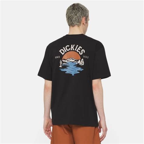 Dickies Beach T Shirt Zwart