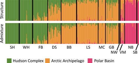 Genetic Cluster Assignment Bar Plots For K 3 From Structure And Download Scientific Diagram