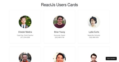 React Users Profile Card Forked Codesandbox