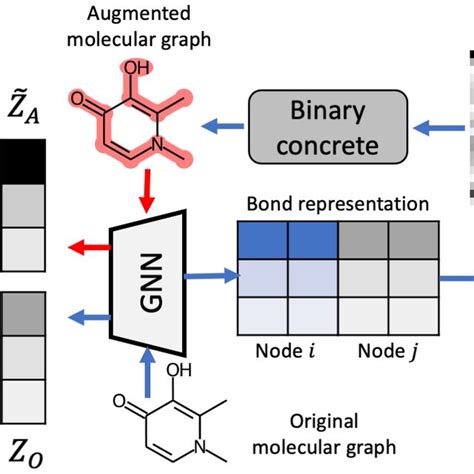 Topological Augmentation Download Scientific Diagram