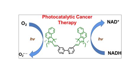 Cyanine Functionalized 22′ Bipyridine Compounds For Photocatalytic