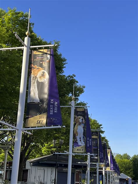 2023 Wkc Around The Ring Photos By Tanner And Sarah Congleton