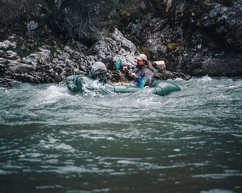 The ECS System StHealthy Hunter