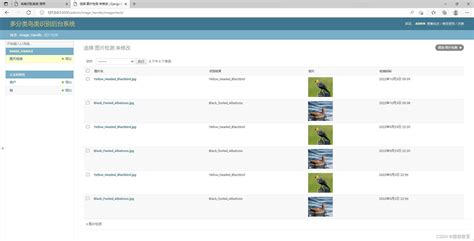 基于djangotensorflow卷积神经网络鸟类识别系统 Ew帮帮网