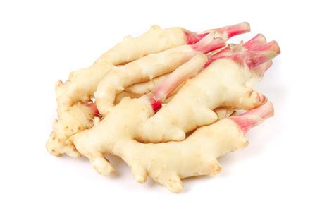 红芽嫩姜图片大全 红芽嫩姜设计素材 红芽嫩姜模板下载 红芽嫩姜图库 昵图网