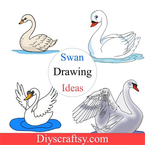 15 Swan Drawing Ideas How To Draw Swan DIYsCraftsy