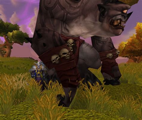 노움 정신 지배 모자 아이템 대격변 클래식