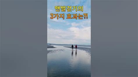 맨발걷기의 놀라운 3가지 효과는 뭘까요 맨발걷기 3가지효과 지압효과 접지효과 빌바닥아치 발가락꺽쇠 100세건강비결