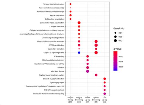 Dotplot Pathway Enrichment Map Showing The Most Significantly