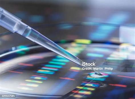 피펫은 Dna 염기서열분석 패턴에 물방울을 분사하여 과학적 연구를 보여줍니다 0명에 대한 스톡 사진 및 기타 이미지 0명 Stem 주제 개발 Istock