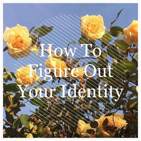 How To Figure Out Your Identity Example Method LGBT Amino