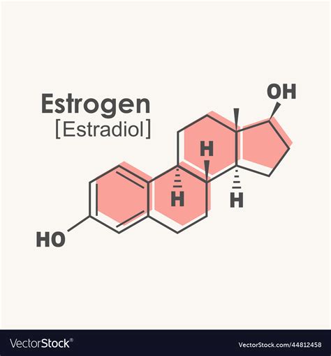 Chemical Molecular Formula Of Human Hormone Vector Image