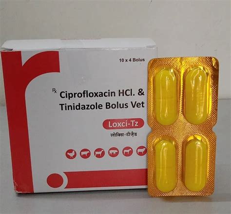 Ciprofloxacin Hcl And Tinidazole Bolus For Clinical Packaging Type Box At ₹ 110 Box In Kurukshetra
