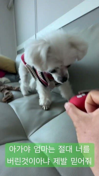 우는 아이 달래는 별이 Youtube