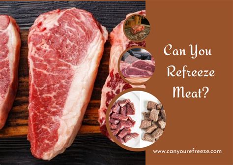 Can You Refreeze Meat How To Refreeze Meat Can You Refreeze