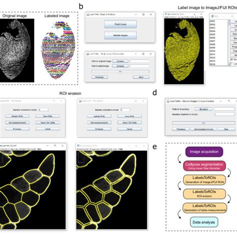 Benchmarking Of Cellpose Algorithm Across Different Image Sizes And