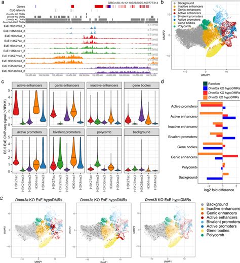 targeting of de novo dnmts in exe depends on underlying chromatin download scientific diagram