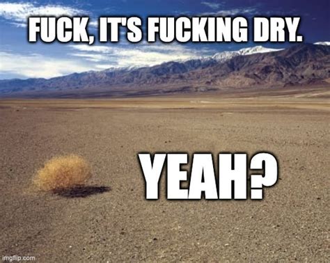 I Guess Its Not So Profitable To Have Algos Trading Back And Forth