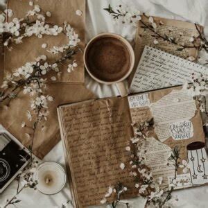 136 Vintage Aesthetic Pfp For Old Soul And Soft Mood Lovers