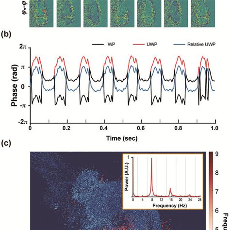 Real Time Heart Rate Monitoring System Using Off Axis Digital Download Scientific Diagram