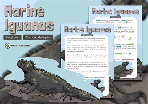 Year 1 Model Text Character Description Marine Iguanas Grammarsaurus