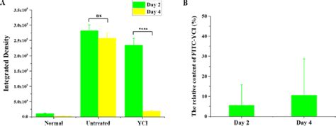 Quantitative Analysis Of The Fluorescent Integrated Density Of