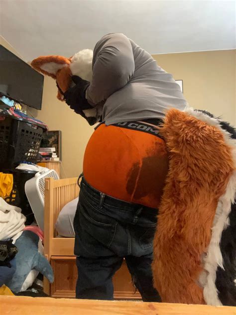 Skunk Fox Soiling