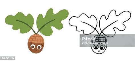 색칠한 오크 잎과 흑백 일러스트가 있는 벡터 가와이 도토리 플랫 및 라인 스타일의 가을 아이콘 흰색 배경에 고립 된 재미있는 가을 또는 숲 녹지 귀여운 색칠 페이지 가공의
