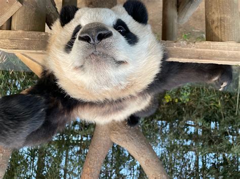 나는 하늘을 날고 싶어요