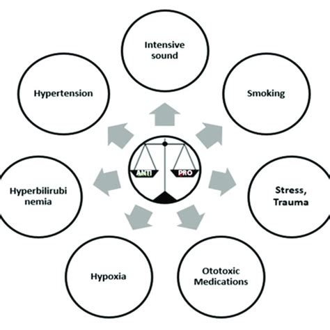 Typical 3 Types Of Aica Loop According To Their Extension Depth In The Download Scientific