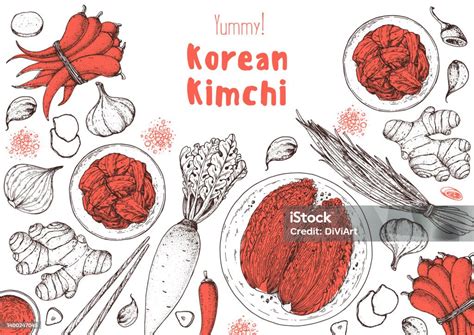 김치 요리와 김치를위한 재료 스케치 일러스트레이션 한국 요리 프레임 건강한 음식 디자인 요소 손으로 그린 패키지 디자인 아시아 음식 건강한 식생활에 대한 스톡 벡터 아트 및