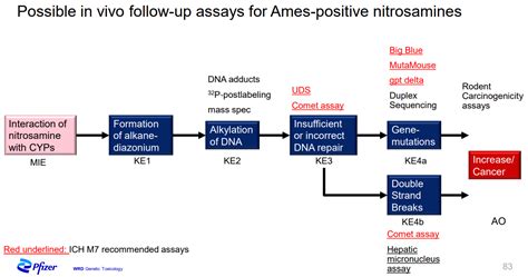 Duplex Sequencing Future Of Mutagenicity Assessment Risk Assessment Strategy Tools
