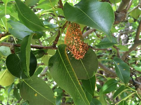 Dirt Doctor Library Topics