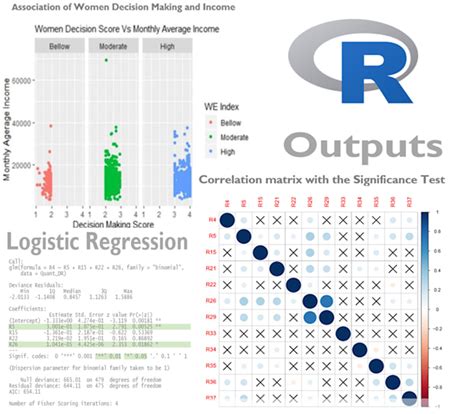 Perform Data Analysis Using R And Python Programming By Eyasinalibd