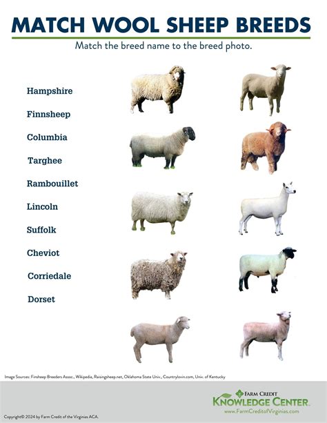 Types Of Sheep Farming