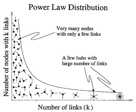 The Unequal Distribution Of Links Within Scale Free Networks Source Download Scientific