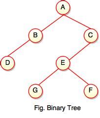 Binary Tree In Data Structure