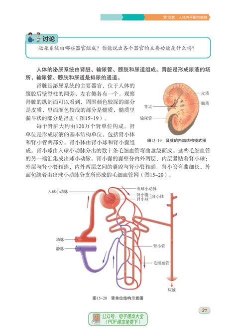 苏科版初中生物学八年级上册电子课本pdf高清版2023最新版初二生物教科书 调节