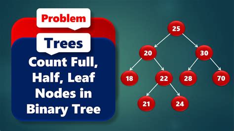 Count Full Half Leaf Nodes In Binary Tree Trees 8 Youtube