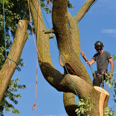 Services Loyalty Total Lawncare