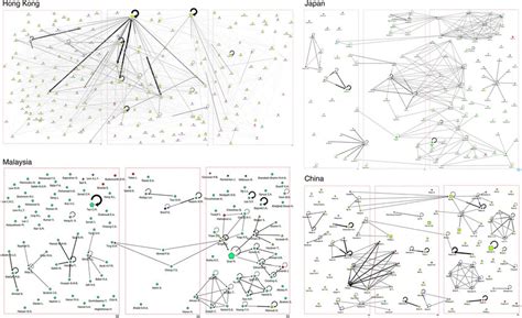 Citation Networks In Each Country Download Scientific Diagram