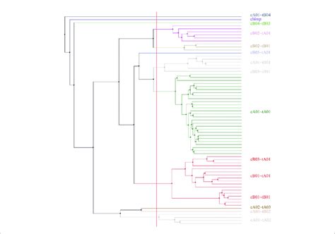 Phylogenetic Tree Made From The Multiple Sequence Alignment Msa