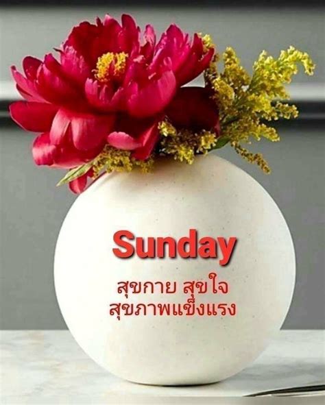 ปักพินโดย Kritsana Suntiari ใน วันพฤหัสบดี สุขสันต์วันอาทิตย์ ฝันดีราตรีสวัสดิ์ สวัสดีตอนเช้า