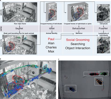 Figure From Deep Learning Based Identification Pose Estimation And End To End Behavior